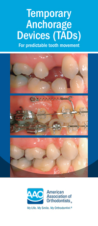 Online Store - Merchandise Search